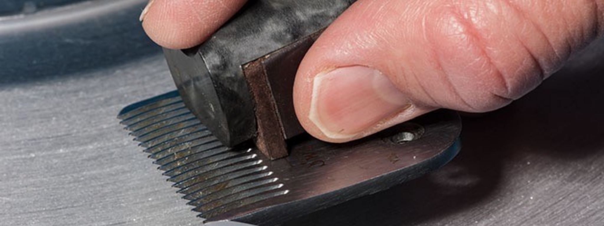 Mastering the Art of Blade Sharpening: Reviving Your Clipper and Trimm
